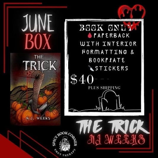 Book Box – SpicyBookCorner